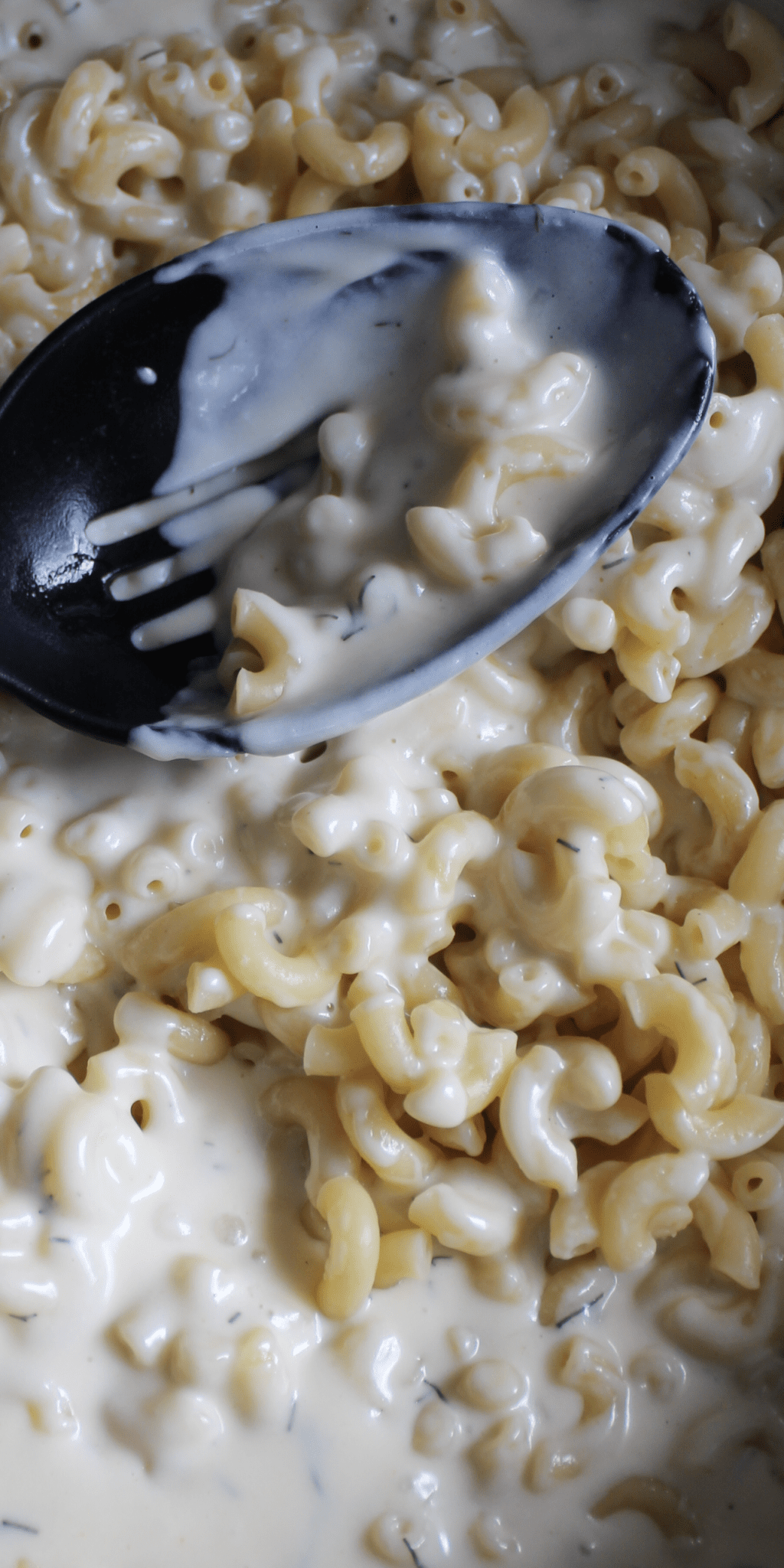 Havarti Mac and Cheese with Dill